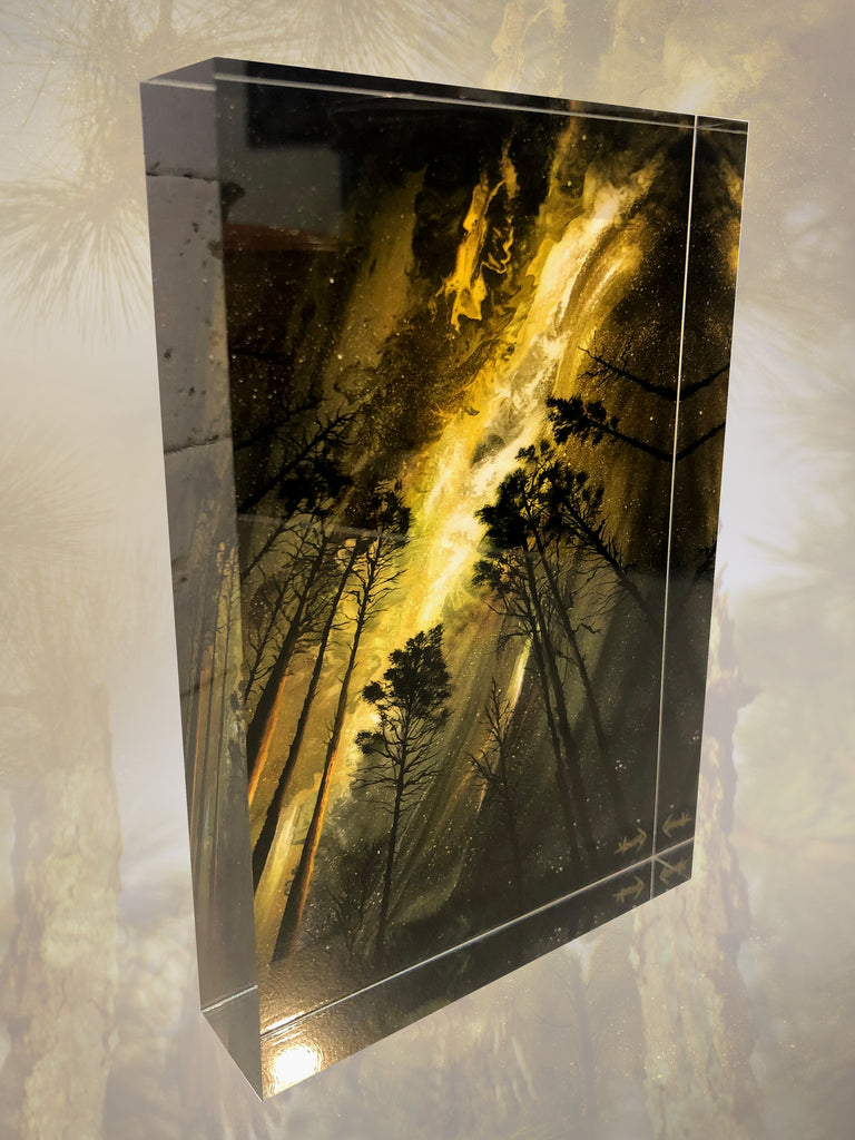 Tarkiln Pines Block 4x6